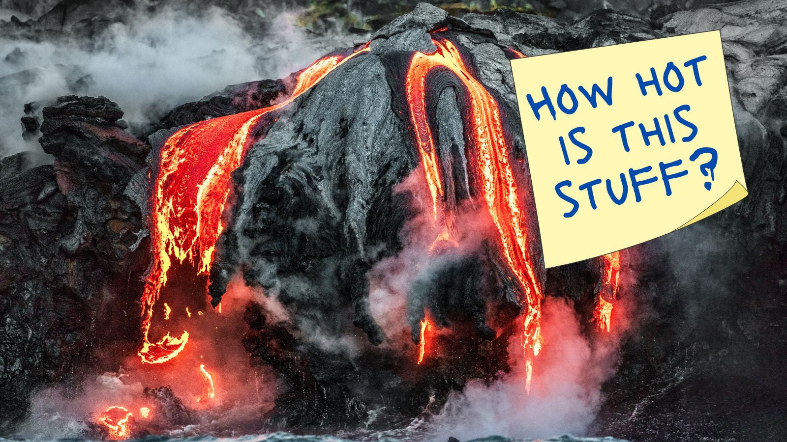 Learn something new every day—and have fun doing it.